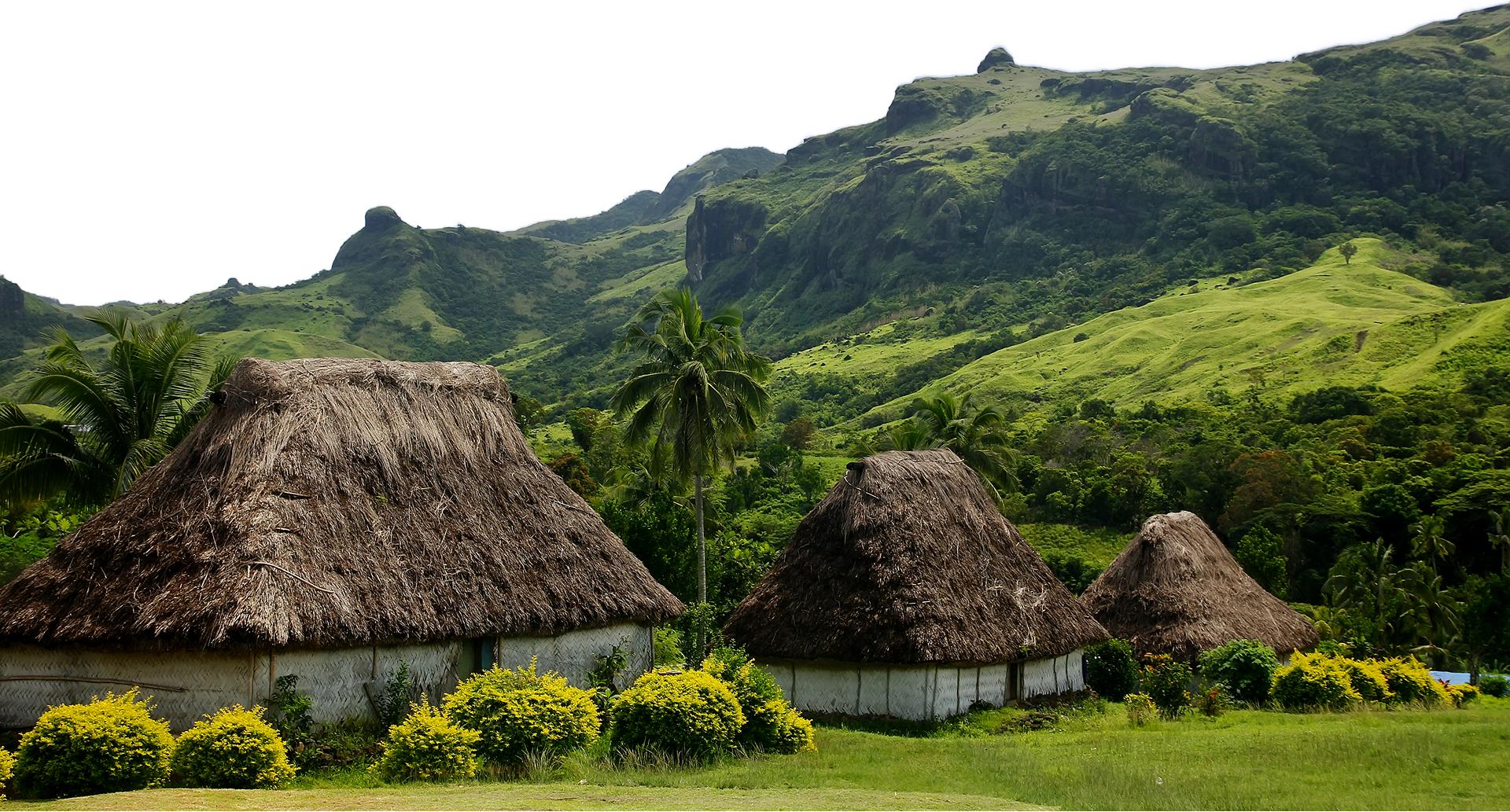 Kava 101: The Ultimate Kava Glossary & Guide | FijiKava